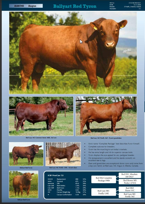 Ballyart Red Tyron stb.580065 – Cellkim