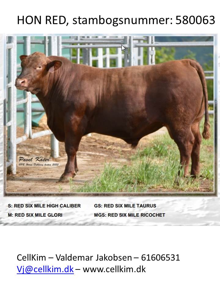 HON RED, stambogsnr.: 580063 – Cellkim